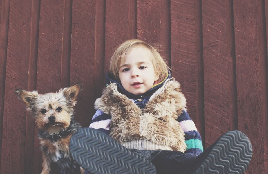 Top 10 Child-Friendly Dog Breeds That Are Easily Available - Dog Breeds