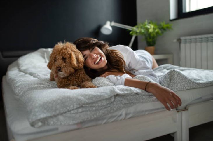 Prepare Your Dog to Be Left at Home Alone-Pets devotee - Dog