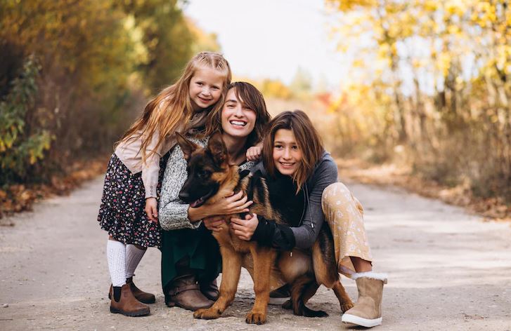 Things to Do With Your Pet on Weekend-Pets devotee - Dog