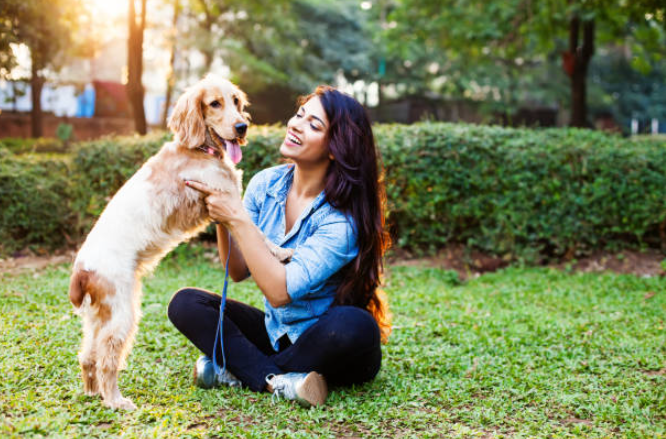 Top 10 Well-Behaved Dog Breeds | Discover the Best Companions for a ...
