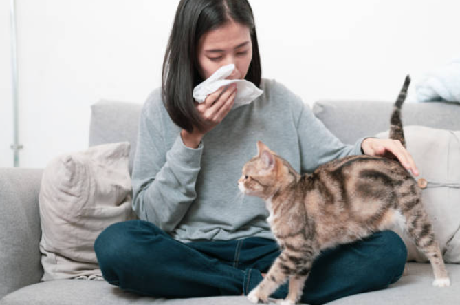 Common Cat Allergies and Effective Ways to Treat Cat Allergies