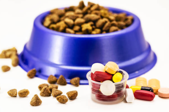 Painless Pill Feeding for Pups: A Guide to feed pills to dogs