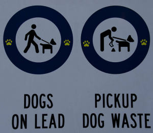 Unleash the Joy of Walking: Dos & Donts for Dog Walkers